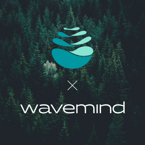 Wavemind | Agence web Lausanne - Application web & mobile